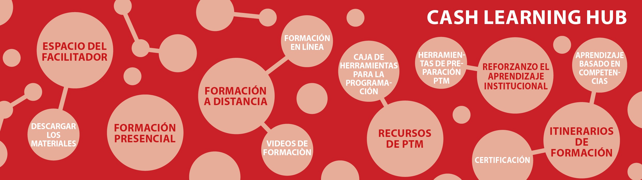 Course: Cash Learning Hub - Español